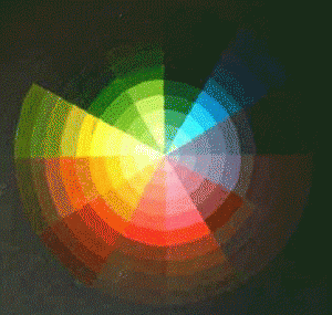 Colores fundamentales – Tareas Universitarias